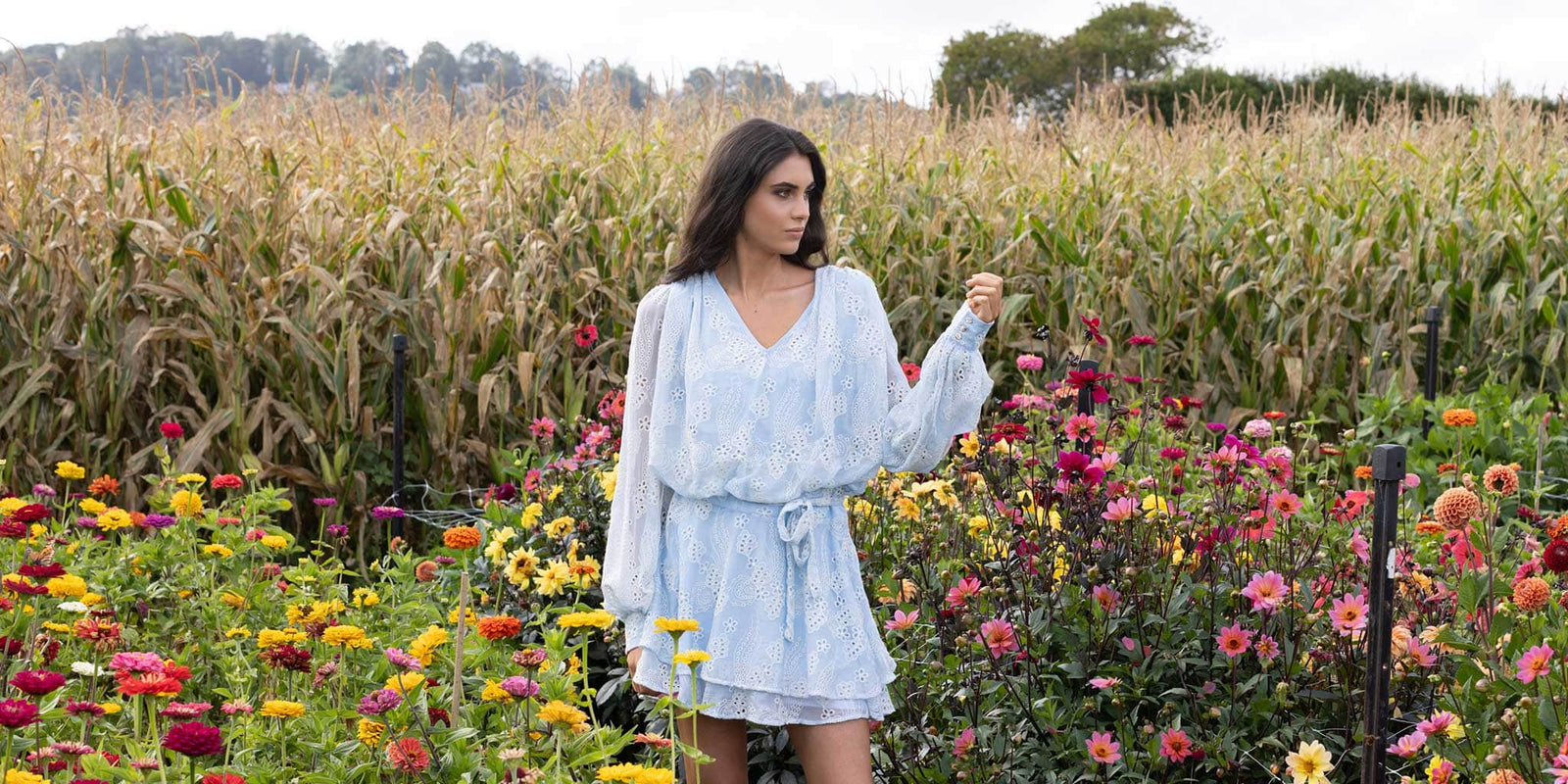 Designer Women's Clothing: Augustine by Kelly Coe